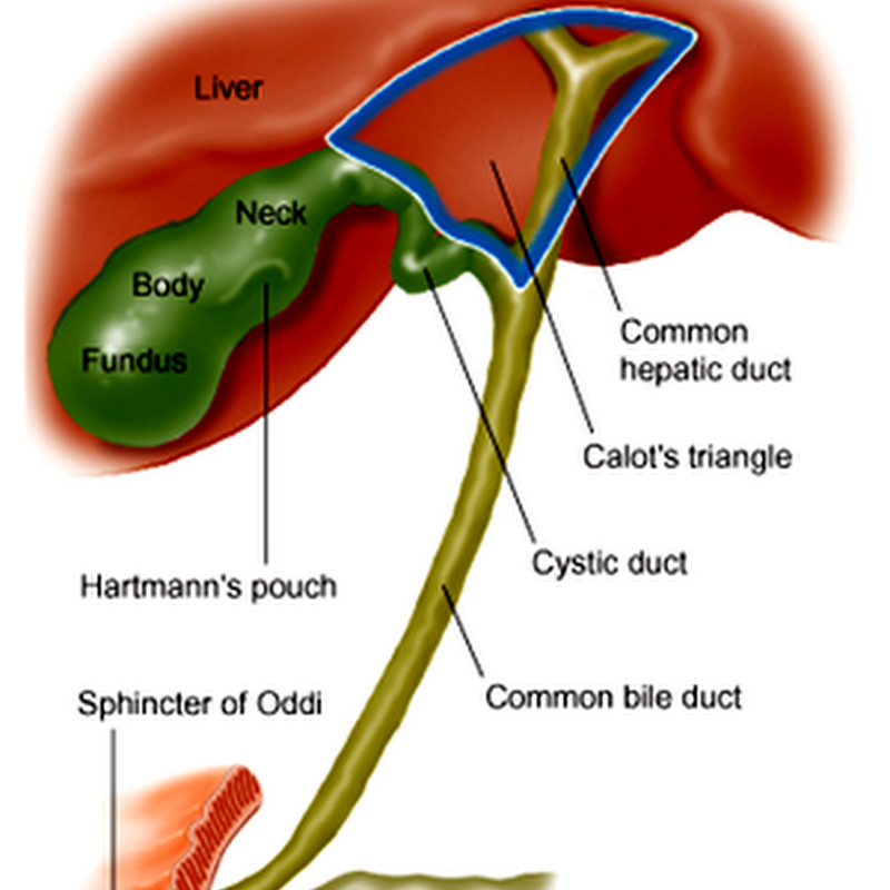 August 2010 - Radiology Made Easy
